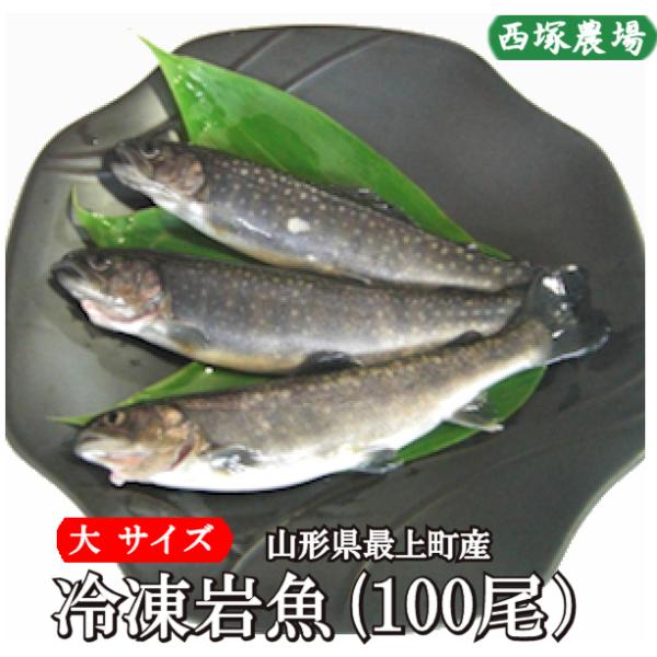 本商品は、冷凍岩魚 100匹（大サイズ 腹抜き) の商品です。※１２５g前後（22cm前後）の岩魚の腸を取り除いて、 1匹ずづ袋詰めし、冷凍した商品です。岩魚の腹を裂いておりません。ご家庭での焼き魚や唐揚げなどの揚げ物、バーベキューでの焼き...
