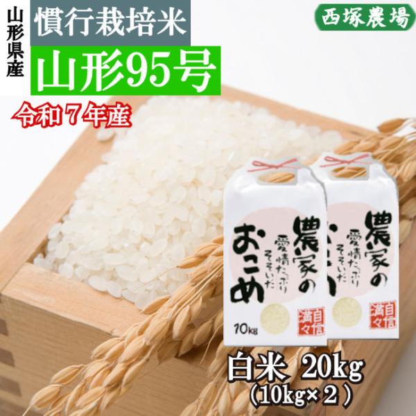 【発売日：2025年11月14日】慣行栽培米 山形95号 岩魚米（令和7年産）販売中です。商品は、3営業日以内に、順次発送致します。ご検討のほど、どうぞよろしくお願い致します。※ご好評頂いておりました「おまけ米」のサービスにつきましては、　...