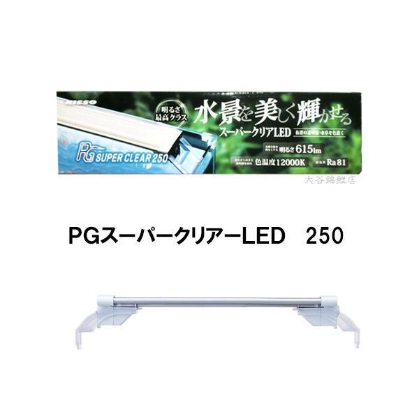 錦鯉 金魚 淡水魚 熱帯魚 海水魚 アクア用品 アクアリウム