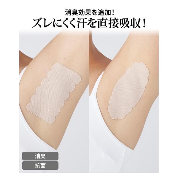 【関連キーワード】 春 夏 秋 冬