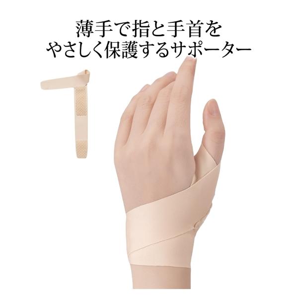 【関連キーワード】 春 夏 秋 冬