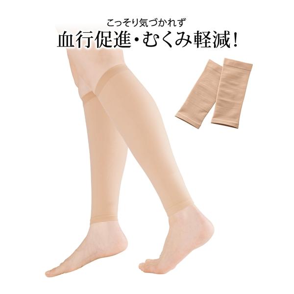 【関連キーワード】 春 夏 秋 冬