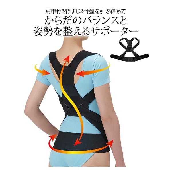 【関連キーワード】 春 夏 秋 冬