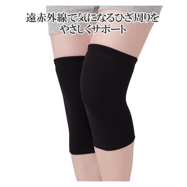 【関連キーワード】 春 秋 冬