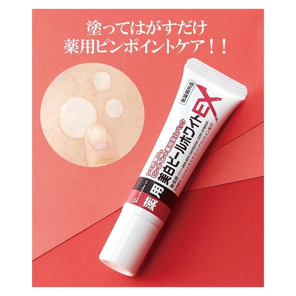 【関連キーワード】 春 夏 秋 冬