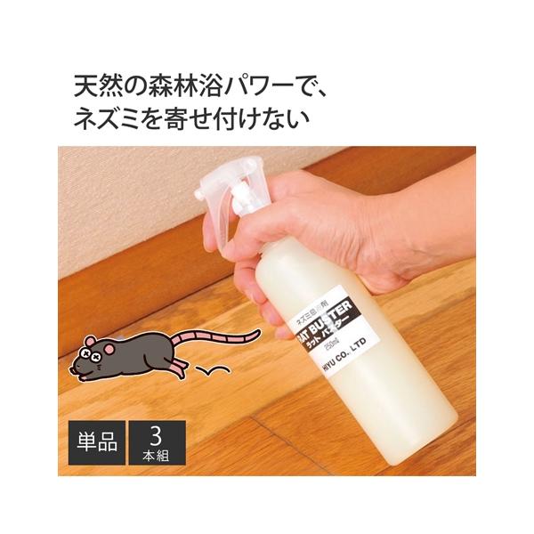 【関連キーワード】 春 夏 秋 冬