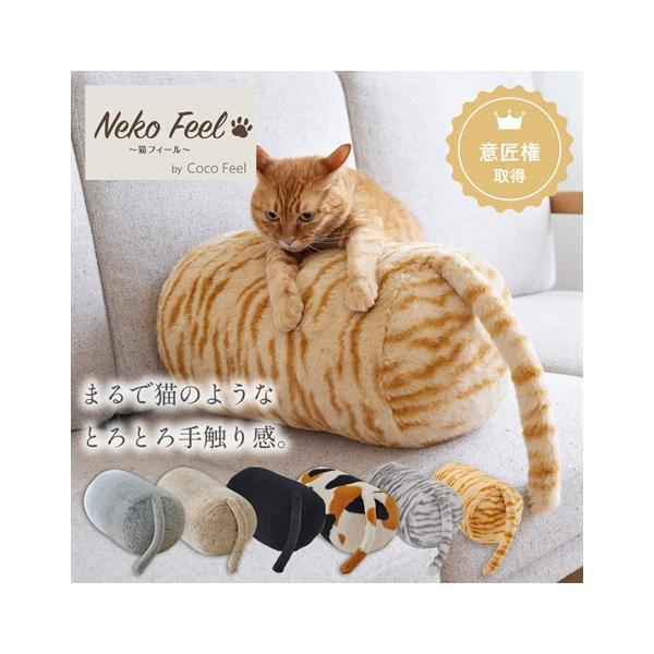 【関連キーワード】 一人暮らし 大学生 社会人 春 秋 冬