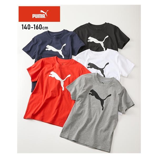 【関連キーワード】 トレーニングウェア 子ども キッズ 夏