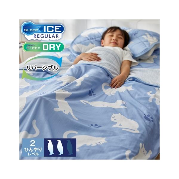 【関連キーワード】 子ども キッズ 一人暮らし 大学生 社会人 夏