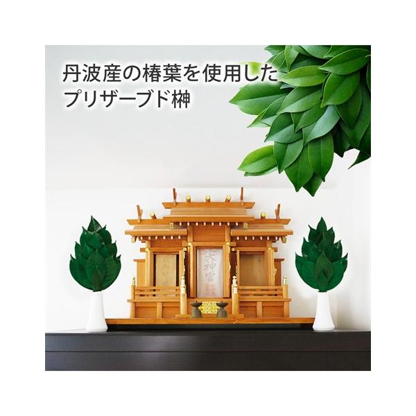 【関連キーワード】爆買 春 夏 秋 冬