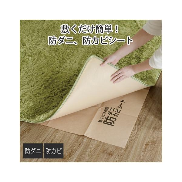 【関連キーワード】爆買 春 夏 秋 冬