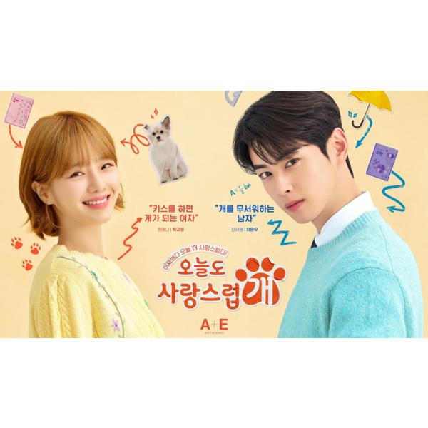 原題： 収録話数：全14話音声:韓国語字幕:日本語TYPE B : Blu-rayディスク１枚商品保障について※注文後のキャンセル対応はいたしかねます。※ケース/箱破損は保障対象外です。※再生不良の場合はメールまたはお問い合わせフォームにて...
