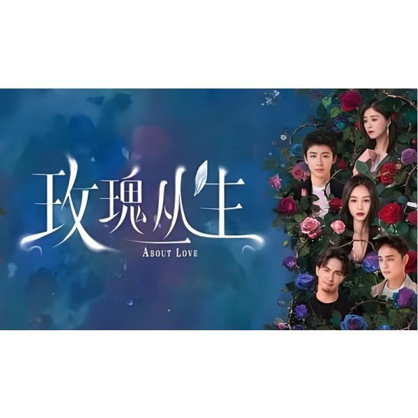 原題：瑰生収録話数：全26話音声:中国語字幕:日本語TYPE B : Blu-rayディスク1枚キャスト：「ワン・ズーウェン（王子文）」「リウ・ユーニン（劉宇寧）」あらすじ：恋愛に対して慎重で小さな傷を抱える李兮は「恋愛鑑定士」としてさまざ...