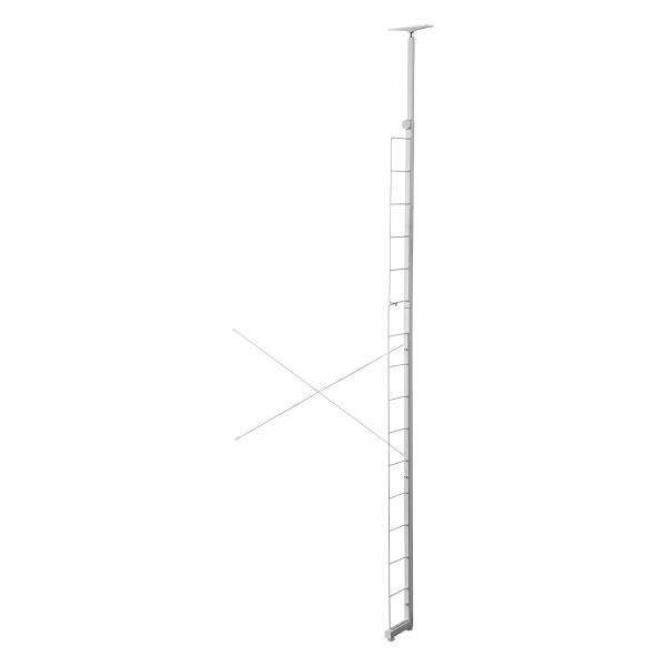 ■■ニトリ公式サイト■■一部地域を除き、お時間指定が可能な商品です。こちらの画面上にて、配達時間を指定しカートにお入れください。※お買上いただく商品に【玄関先迄納品】が複数含まれている場合は、いずれか1点のみをご選択ください。お届けはまとめ...