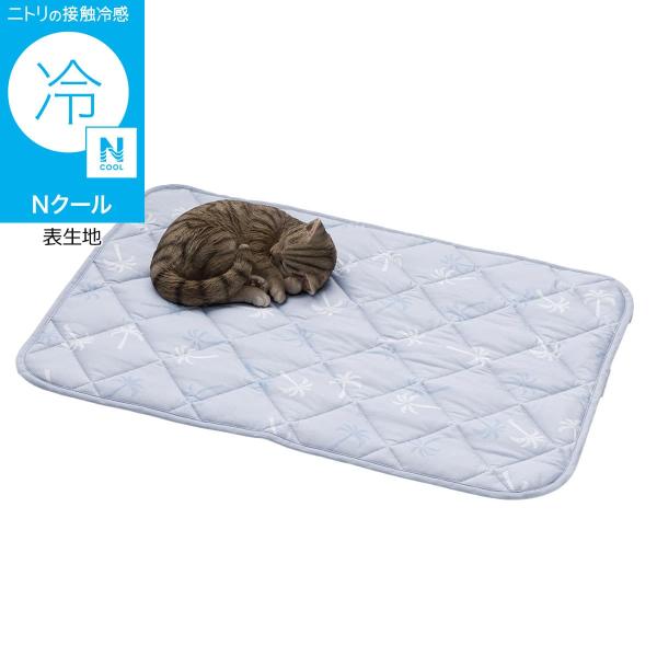 ■■ニトリ公式サイト■■一部地域を除き、お時間指定が可能な商品です。こちらの画面上にて、配達時間を指定しカートにお入れください。※お買上いただく商品に【玄関先迄納品】が複数含まれている場合は、いずれか1点のみをご選択ください。お届けはまとめ...