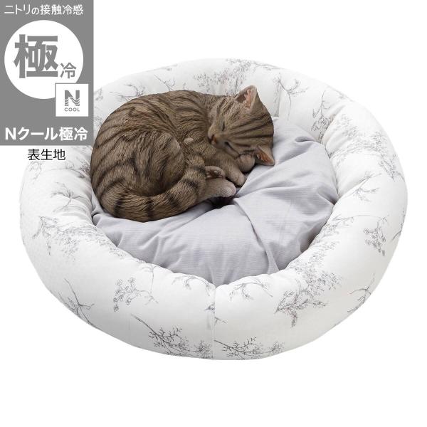 ■■ニトリ公式サイト■■一部地域を除き、お時間指定が可能な商品です。こちらの画面上にて、配達時間を指定しカートにお入れください。※お買上いただく商品に【玄関先迄納品】が複数含まれている場合は、いずれか1点のみをご選択ください。お届けはまとめ...