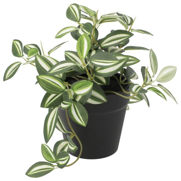 ■■ニトリ公式サイト■■一部地域を除き、お時間指定が可能な商品です。こちらの画面上にて、配達時間を指定しカートにお入れください。※お買上いただく商品に【玄関先迄納品】が複数含まれている場合は、いずれか1点のみをご選択ください。お届けはまとめ...