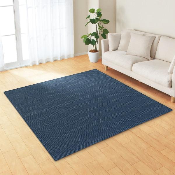 ■■ニトリ公式サイト■■さらっとした肌ざわり。ジャガード織りラグ。一部地域を除き、お時間指定が可能な商品です。こちらの画面上にて、配達時間を指定しカートにお入れください。※お買上いただく商品に【玄関先迄納品】が複数含まれている場合は、いずれ...