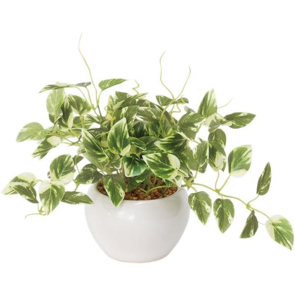 ■■ニトリ公式サイト■■一部地域を除き、お時間指定が可能な商品です。こちらの画面上にて、配達時間を指定しカートにお入れください。※お買上いただく商品に【玄関先迄納品】が複数含まれている場合は、いずれか1点のみをご選択ください。お届けはまとめ...