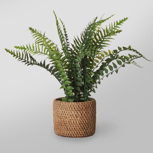 ■■ニトリ公式サイト■■一部地域を除き、お時間指定が可能な商品です。こちらの画面上にて、配達時間を指定しカートにお入れください。※お買上いただく商品に【玄関先迄納品】が複数含まれている場合は、いずれか1点のみをご選択ください。お届けはまとめ...