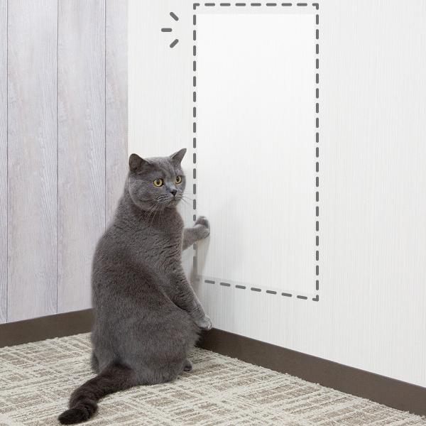 ■■ニトリ公式サイト■■一部地域を除き、お時間指定が可能な商品です。こちらの画面上にて、配達時間を指定しカートにお入れください。※お買上いただく商品に【玄関先迄納品】が複数含まれている場合は、いずれか1点のみをご選択ください。お届けはまとめ...