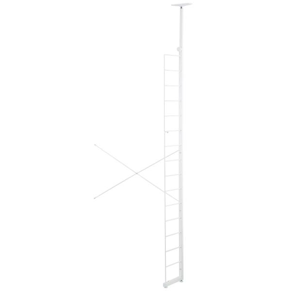 ■■ニトリ公式サイト■■一部地域を除き、お時間指定が可能な商品です。こちらの画面上にて、配達時間を指定しカートにお入れください。※お買上いただく商品に【玄関先迄納品】が複数含まれている場合は、いずれか1点のみをご選択ください。お届けはまとめ...