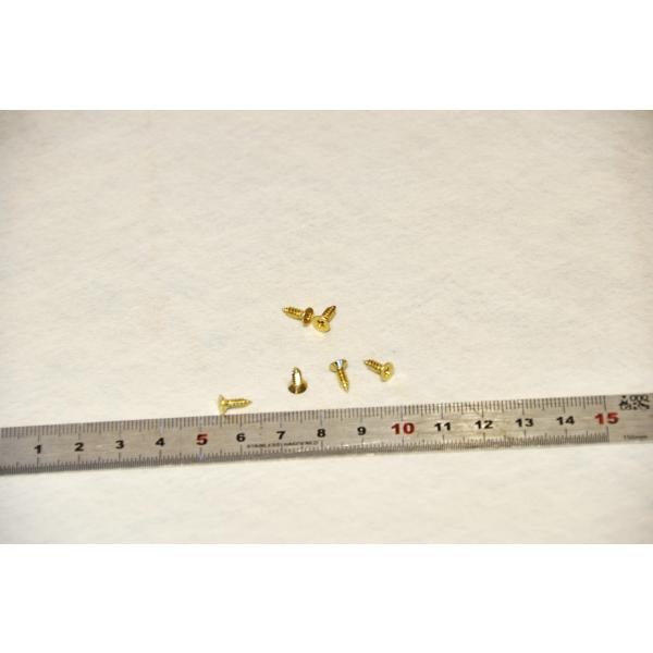 トゥスティール　ヒールスティール　プロテクター専用ビス6個すり減って留めの利かなくなったプロテクターを再度固定するためのネジです。-------------------------------------------------------...