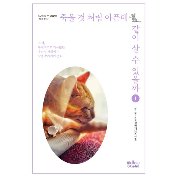 ※この本は韓国語で書かれています。.。・★本の内容★+°*.。インターネット連載マンガ『エンドウ豆』や『上手くやったこともないのにまた、春をもらった』など11冊の本を出版してきた「ペリーテイル(Perytail)」作家が、WEB上で1年間連...