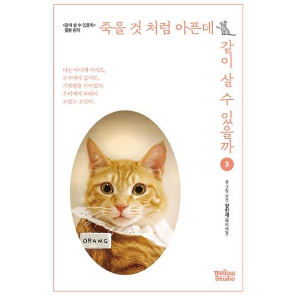 ※この本は韓国語で書かれています。.。・★本の内容★+°*.。インターネット連載マンガ『エンドウ豆』や『上手くやったこともないのにまた、春をもらった』など11冊の本を出版してきた「ペリーテイル(Perytail)」作家が、WEB上で1年間連...