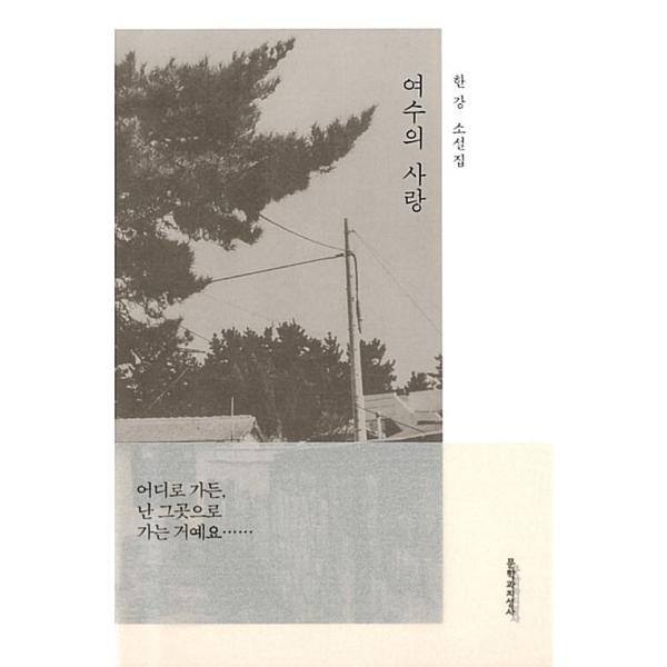 .。・★本の内容★+°*.。韓国小説小説家ハン・ガンが自分の作品で描こうとするのは、ある特定の社会現実的な因果関係よりは、存在の疲労感、希望のないむなしさが与える挫折感のような根源的で情緒的な状況です。作品の人物は行き去り、捨て、戸惑い、落...