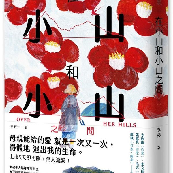 ※この本は台湾版です。言語は繁体字中国語で書かれています。.。・★本の内容★+°*.。小説（台湾版）母が娘に与えられる愛とは何度でもきちんと娘の人生から身を引くこと??。異国で暮らす娘のもとに母が訪れ久しぶりの同居生活が始まる。言葉文化価値...