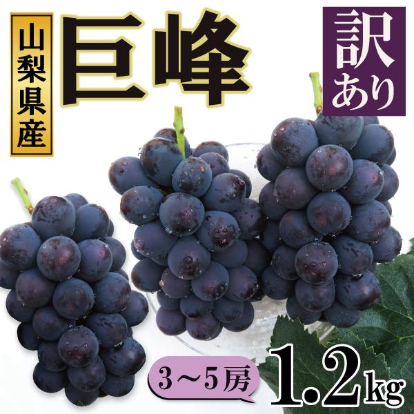 商品名/産地：山梨県産ぶどう（巨峰）内容量：1.2キロ(3~5房)旬の季節がやってきました！人気沸騰中の極上巨峰！高い糖度で、とっても甘く種なしで皮ごと食べられます。何よりもパリッとした食感がたまらない！（巨峰とは）「石原早生」と「センテニ...