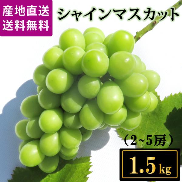 【発売日：2025年08月25日】商品名/産地：山梨県産ぶどう（シャインマスカット）内容量：1.5キロ（2〜5房）旬の季節がやってきました！人気沸騰中の極上シャインマスカット！高い糖度で、とっても甘く種なしで皮ごと食べられます。何よりもパリ...
