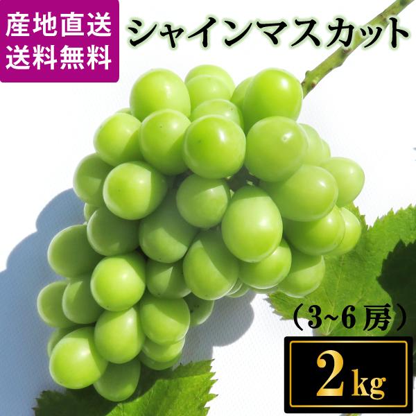 【発売日：2025年08月25日】商品名/産地：山梨県産ぶどう（シャインマスカット）内容量：2キロ（3〜6房入）旬の季節がやってきました！人気沸騰中の極上シャインマスカット！高い糖度で、とっても甘く種なしで皮ごと食べられます。何よりもパリッ...