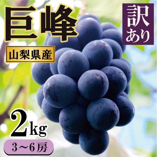 商品名/産地：山梨県産ぶどう（巨峰）内容量：2キロ(3~6房)旬の季節がやってきました！人気沸騰中の極上巨峰！高い糖度で、とっても甘く種なしで皮ごと食べられます。何よりもパリッとした食感がたまらない！（巨峰とは）「石原早生」と「センテニアル...