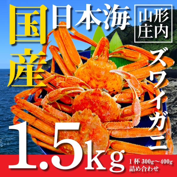 【国産・日本海産】ズワイガニの漁獲量は山形県が東北地方でトップ。年間約45トンの漁獲量を誇ります。漁は全国に先駆けて毎年10月1日から解禁されます。荒波の冬の庄内浜、特に由良地区で水揚げされるズワイガニのオスは、地元で「芳（よし）ガニ」と呼...