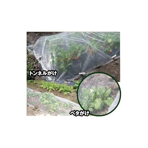 防虫ネット細かい目合い、柔らかい素材、葉を傷めない、安心安全です。レタス、トマト、ほうれんそう、きのこ等の野菜作りに最適。光を通します。（透光率80％以上）細かい目合いで微細害虫を防ぎます。（約0.25mm）デング熱の蚊や、体長1ｍｍのコナ...