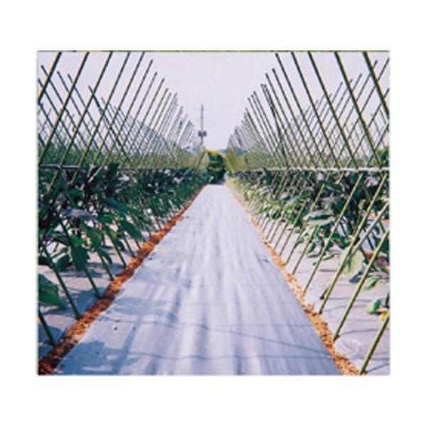 防草シート 透水性に加え、地温の安定と保温に大きな効果を発揮し、高い遮光性によりハウス内などの防草用としても最適です。通路のぬかるみ防止などにも利用できます。