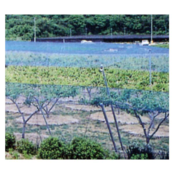 素材は、ポリエチレンを使用しています。ハウスのサイドに縦張りする事によって鳥の侵入を防ぎます。大切な作物を害鳥から防ぎます。高収穫の手助けをします。※張りロープは付属しておりません。別途ご用意ください。【ご確認ください】防鳥網は束ねて商品化...