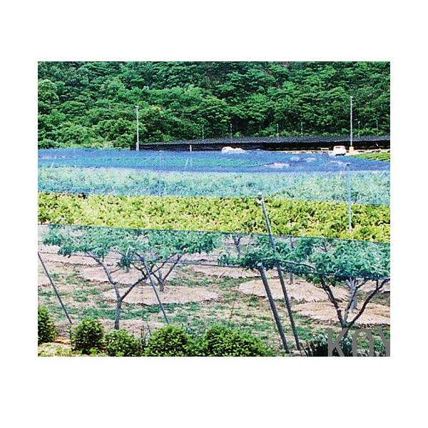 素材は、ポリエチレンを使用しています。ハウスのサイドに張る事によって鳥の侵入を防ぎます。大切な作物を害鳥から防ぎます。高収穫の手助けをします。【ご確認ください】防鳥網は束ねて商品化されることにより形状が変形いたします。そのため、開封して広げ...
