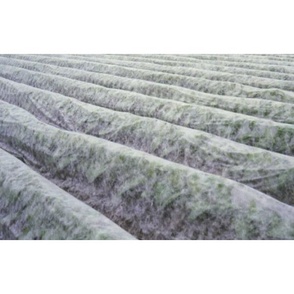 冬は霜から作物を守り播種期には発芽を促進。通気性が良く、適度な吸湿性、保温性を保ちます。又、透光性が高いので、生育障害の心配も殆どありません。露地栽培でのべたがけは勿論、トンネル、ハウスと併せて、様々な作物に幅広く御利用頂けます。大変軽い。...