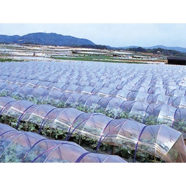 透明な商品です。ポリエチレンを使用していますので、引張強度、伸び、耐候性等に優れています。地温上昇・保湿効果に適しています。センターマーク無し。