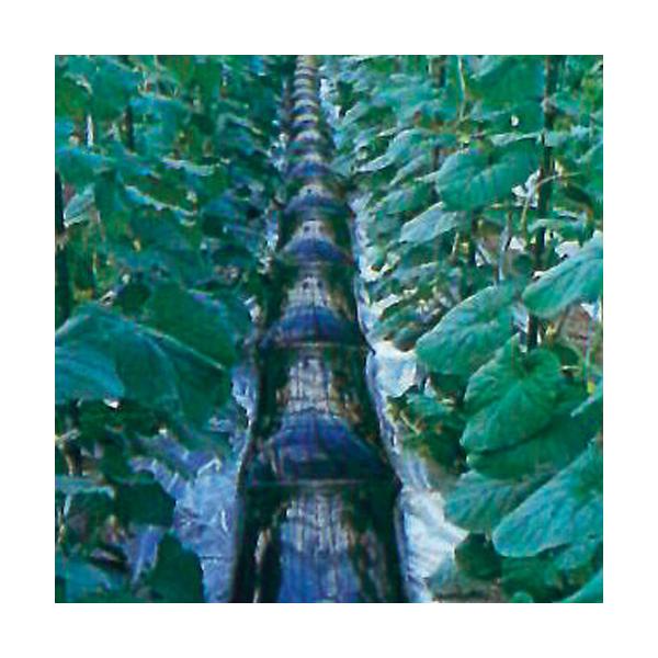 特殊なポリオレフィン系原料で製造しており、非常に強靭です。上部が透明、下部が黒色で、太陽熱の吸収効果は抜群です。トンネルやハウス内の夜間最低気温が通常透明品より2〜3℃高くなります。昼間の最高気温も低く抑えられます。1mごとに堰（特殊シール...