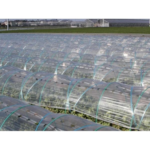 春、夏、秋、トンネルハウス栽培の各種野菜、果菜類などにご使用になれます。