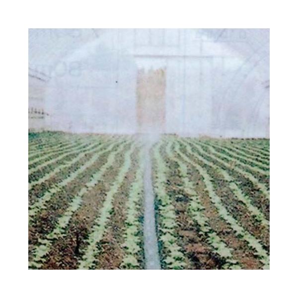 散水孔が多く、均一散水性が更に向上。５．４ｍ（３間）間口のハウスは概ねＲ−育苗１本で均一全面散水が可能。散水角度が４５度以上あるので、高畝の作物に使用できます。