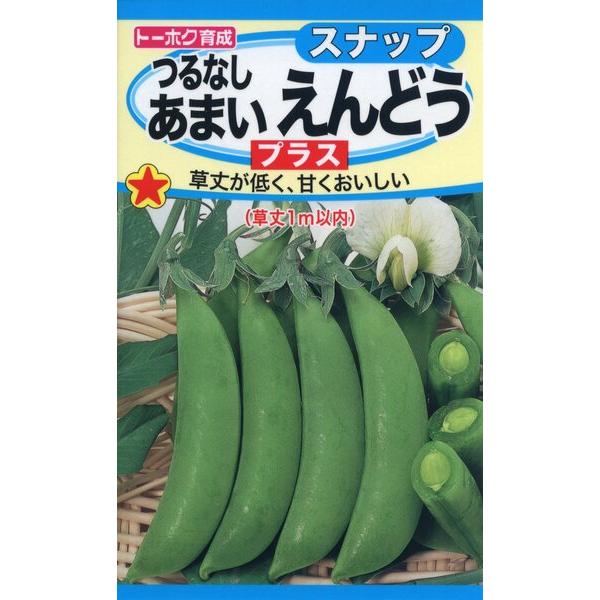 エンドウの種　草丈が低く、甘くおいしい　莢と実の両方を食べるスナップえんどうとも呼ばれています。　生産地：アメリカ　発芽率：80%以上　内容量：30ml