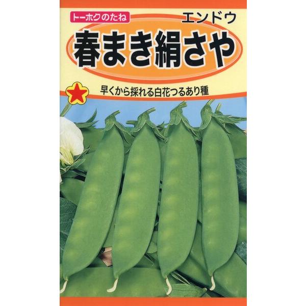 エンドウの種　早くから採れる白花つるあり種　寒さに強くて早く採れる、春まきに適した絹さやえんどう。　生産地：アメリカ　発芽率：80%以上　内容量：30ml