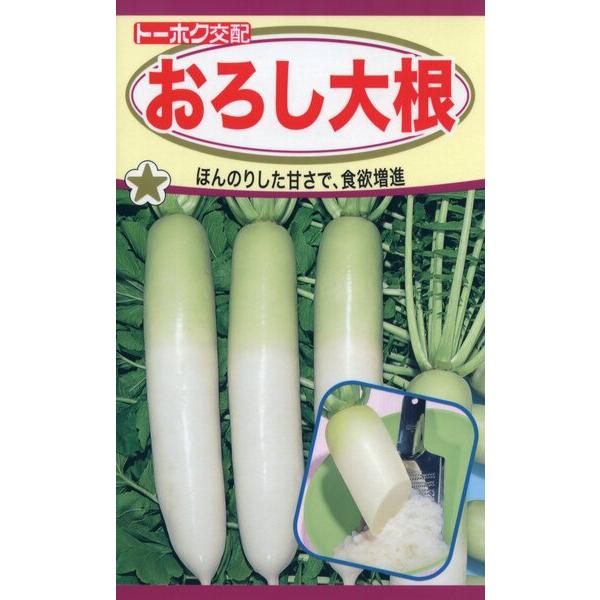 ダイコンの種　おろしだけでなく、テンプラなどの薬味や納豆にも最適です　春と秋にまける、甘い大根です　生産地：アメリカ　発芽率：85%以上　内容量：3ml