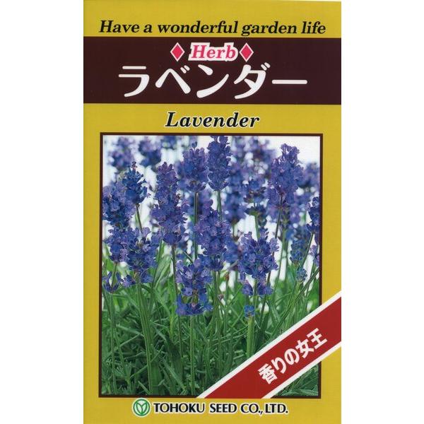 ハーブの種　「香りの女王」　ラベンダー色と呼ばれる紫色の花は２年目から毎年咲くようになる　生産地：中国　発芽率：30%以上　内容量：0.5ml