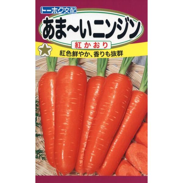 ニンジンの種　紅色が鮮やかな高品質のニンジン　フルーティーな甘さが強くニンジン臭が少なく美味しい品種　生産地：南アフリカ　発芽率：70%以上　内容量：4ml